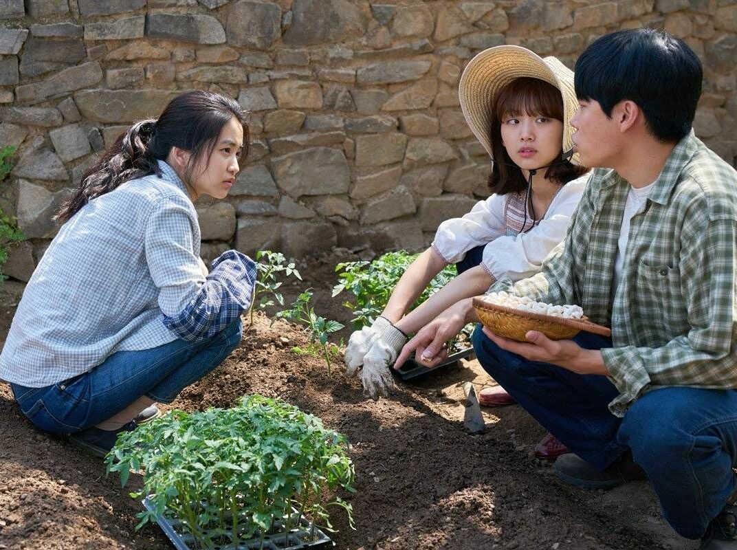 Little Forest: Overview, Cast, 3 Fun Facts & More - KDrama Live